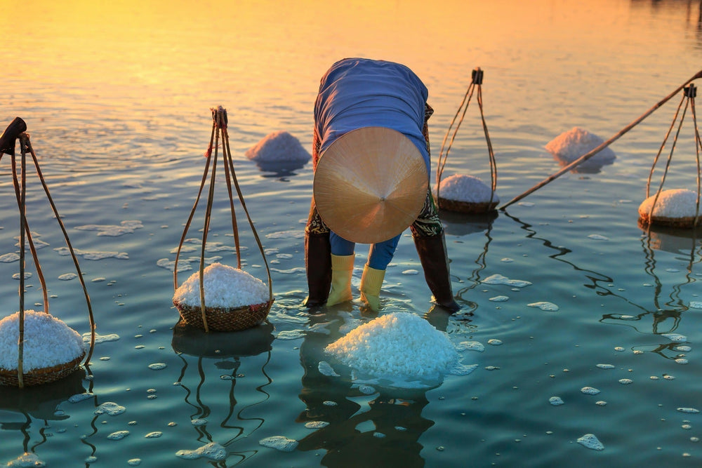 How Sea Salt is Made: The Process – Organics on a Budget