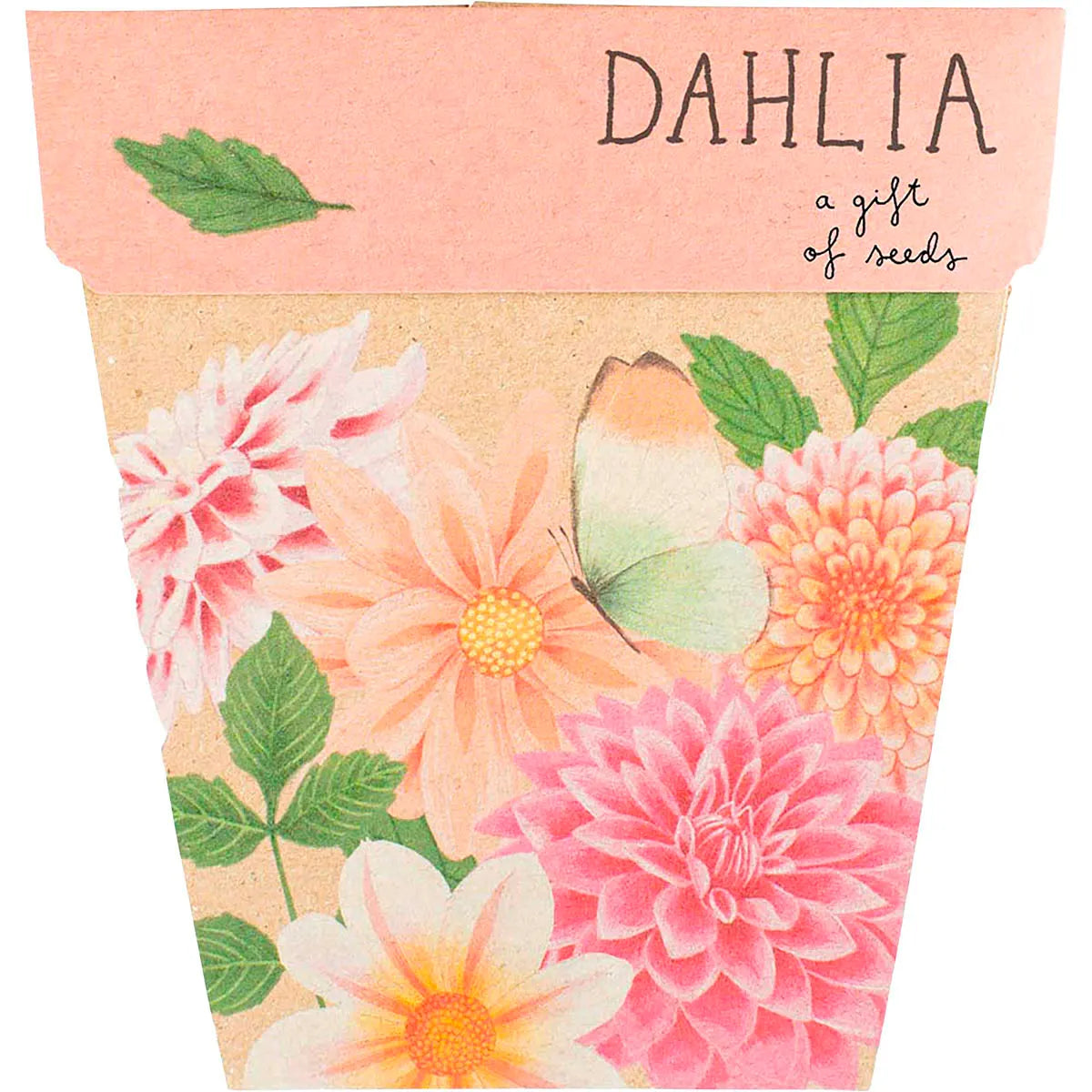 Sow 'n Sow Gift of Seeds Dahlia – Organics on a Budget
